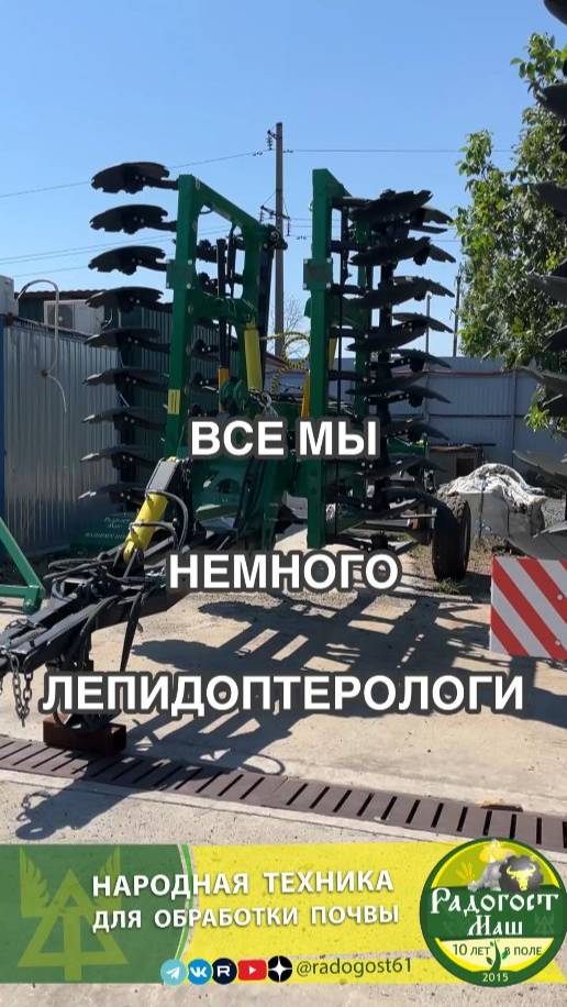 Лепидоптерологи среди нас 🦋 #лепидоптерологи #дискаторбабочка #боронабабочка #бабочки #радогостмаш