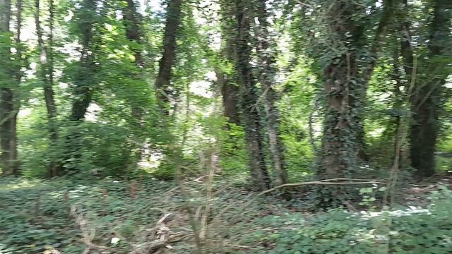 Геленджик, дольмены в геленджике, водопады в Геленджике, дольмены