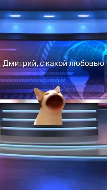 Котик ответил правильно на все вопросы, добьем 500 подписчиков? #video #meme #cat #shorts