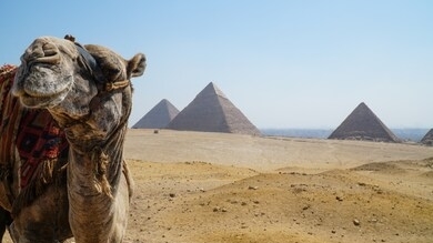 🄴🄶🅈🄿🅃 𓁫 🇪🇬 ЕГИПЕТ ШАРМ-ЭЛЬ-ШЕЙХ & КАИР 🇪🇬 Тизер 2025г