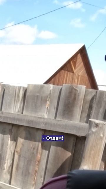 Подвыпивший отец качает права