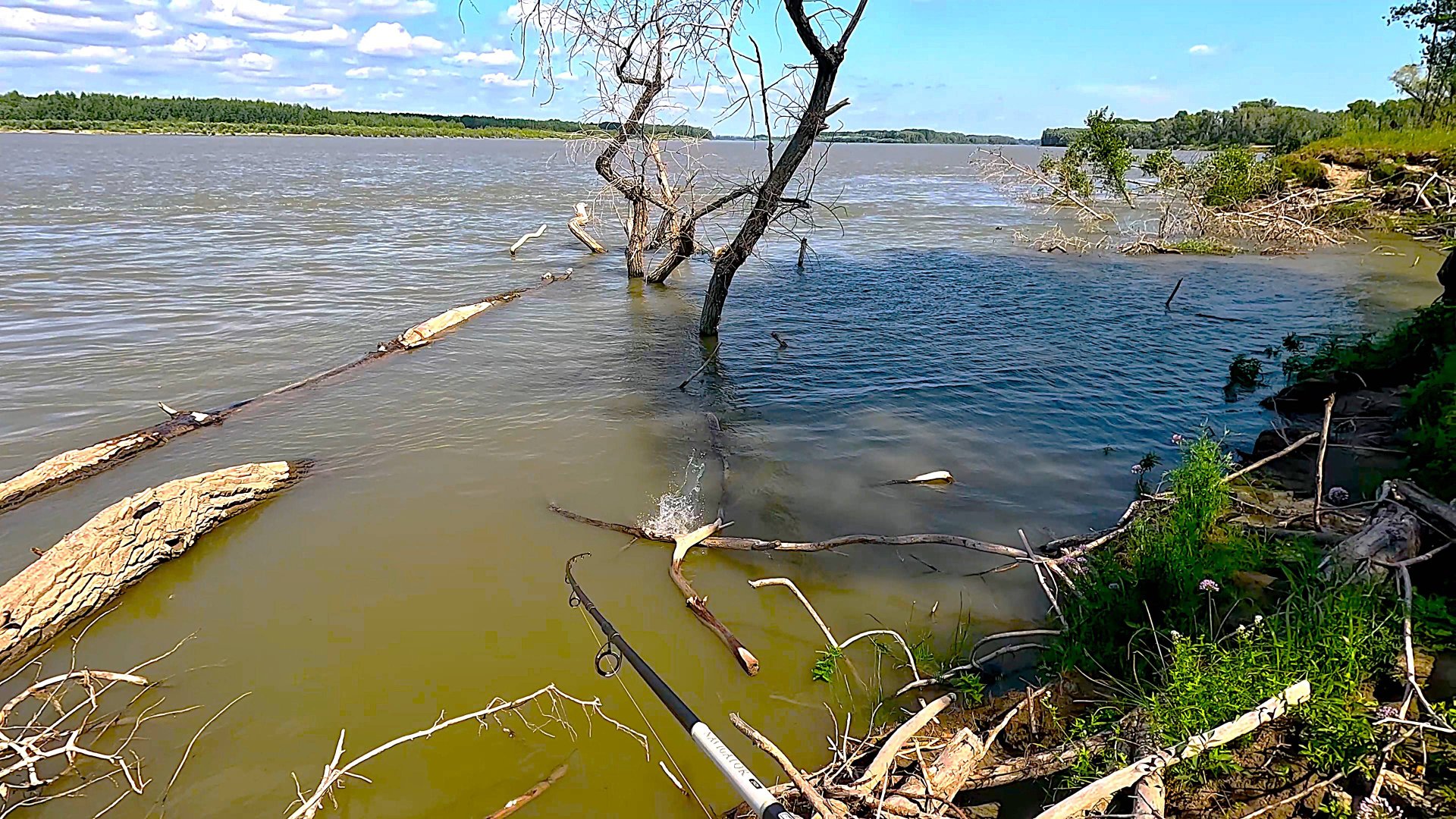 ПОКЛЕВОК МНОГО НО ЛИШЬ ОДНА ДЕЛАЕТ РЫБАЛКУ поиск щуки в коряжнике с джигом