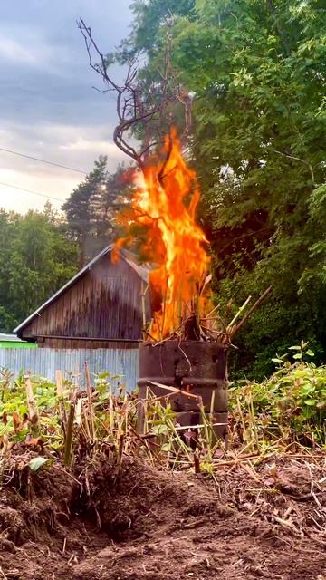 Фаер шоу | Сжигаем корни