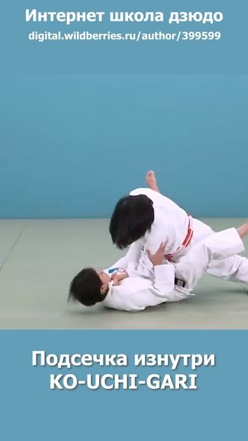 Интернет школа дзюдо. Подсечка изнутри. KO-UCHI-GARI