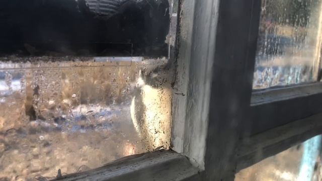 Стучит в окошко дятел =)