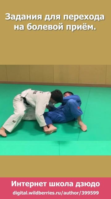 Дзюдо. Самбо. Джиу-джитсу. Задания для перехода на болевой приём.