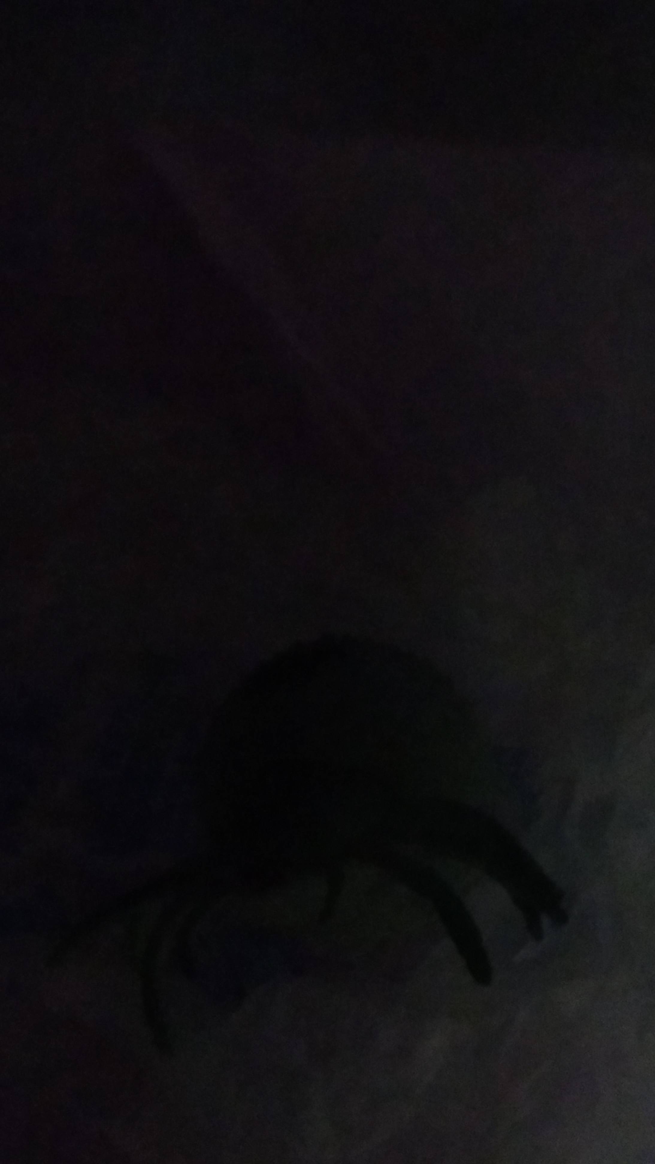 Улетел на Гаити)))