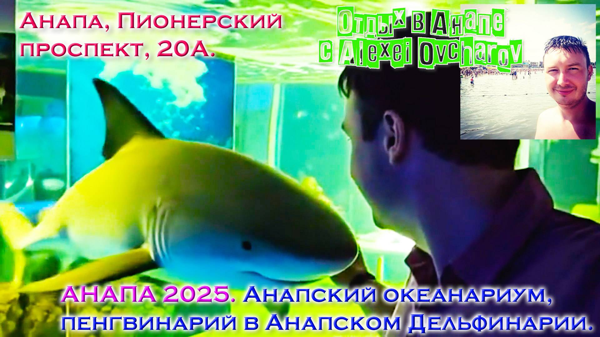 Анапа Океанариум Пингвинарий в Анапском Дельфинарии на Пионерский проспект, 20А. Смотрим рыб в Анапе