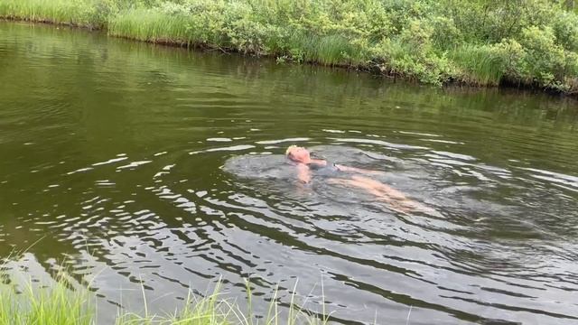 Первая адаптация маленьких моржат на крайнем севере