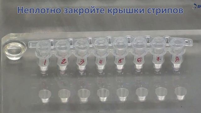 Видеоинструкция «Набор реагентов SARS-CoV-2/SARS-CoV»