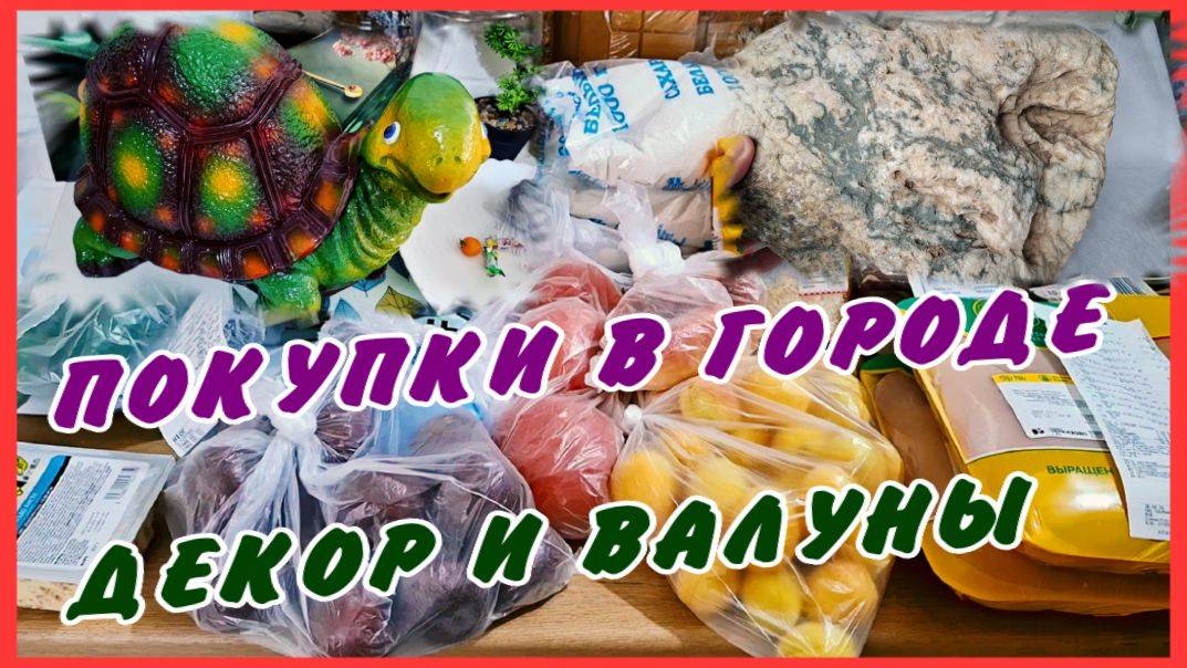 Жизнь в селе//Закрыли WB//Покупки в городе//Декор для сада//.Валуны