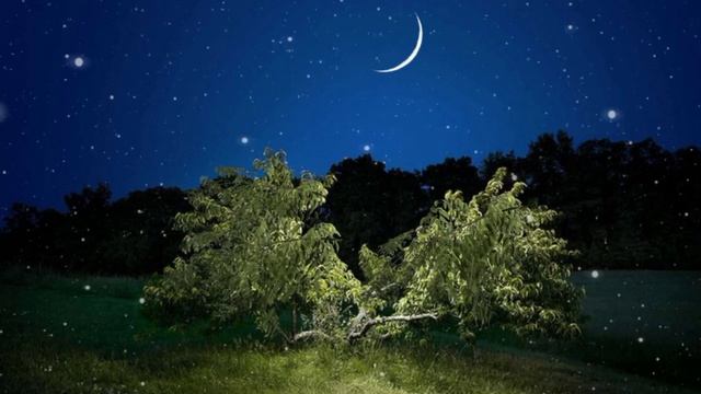 24 июля 2025 - новолуние. Мантра Луны.
