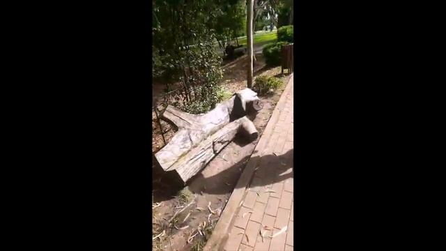 Грузия. Кобулети август 2024. Часть 3