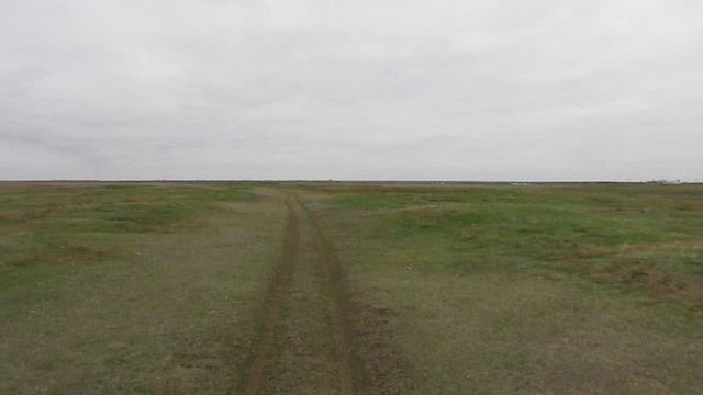 Исчезнувшая деревня Карповка, Питерский район.