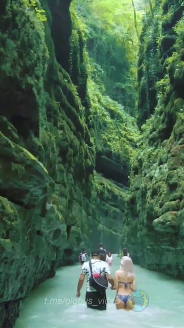 Абхазия. Хашупсинский каньон в долине реки Хашупсе.