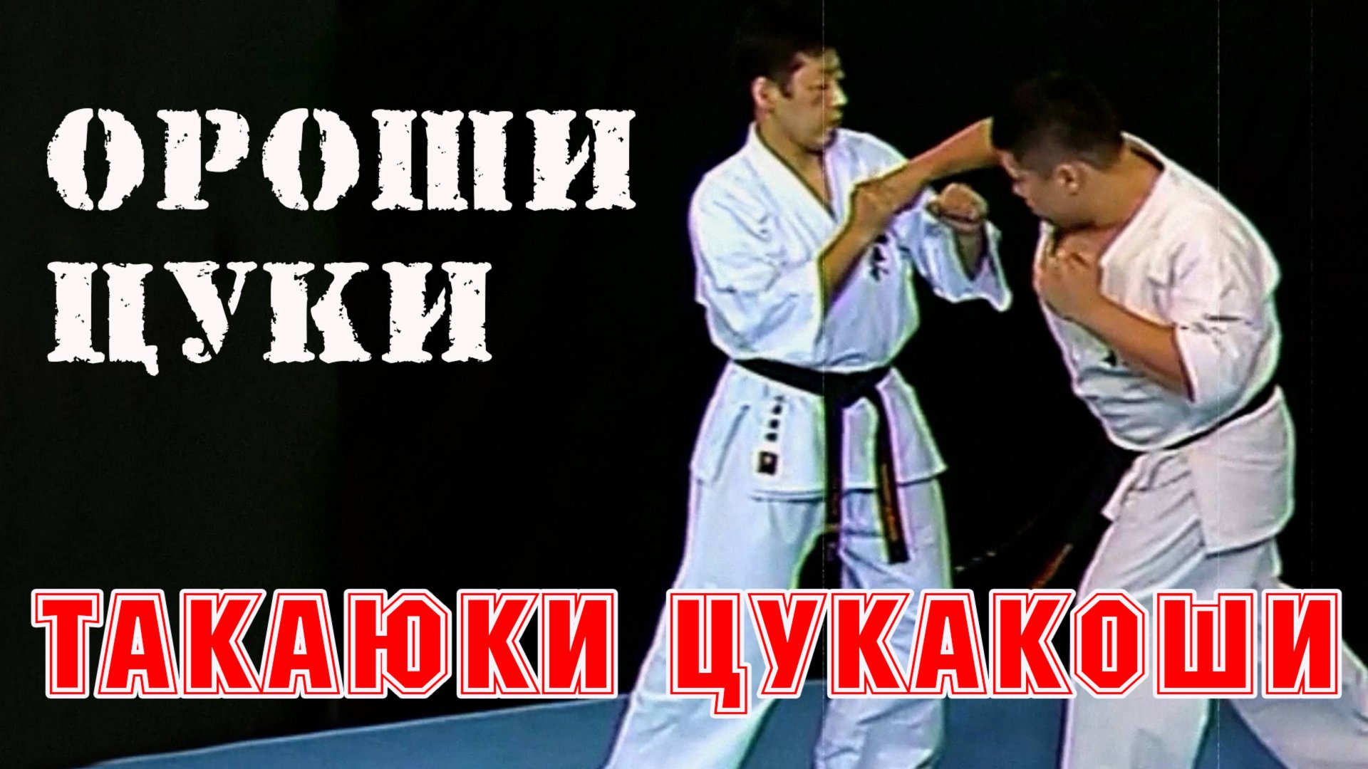 Практика Шинкиокушин.Ороши Цуки(Т.Цукакоши)рус.дубляж