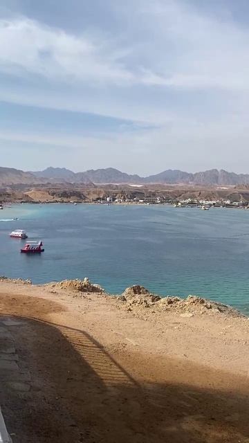 Albatros Sharm Resort – By Pickalbatros (Ex. Beach Albatros) Шарм-эль-Шейх, Египет