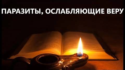 ПАРАЗИТЫ, ОСЛАБЛЯЮЩИЕ ВЕРУ  Вардан Мартиросян