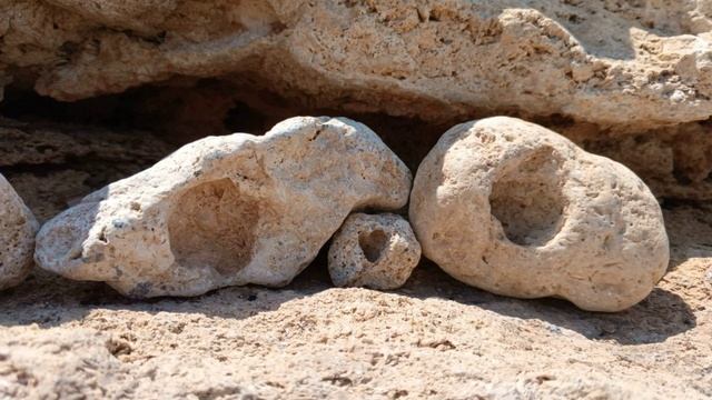 Телесное зрение, это канал для "пробуждения".