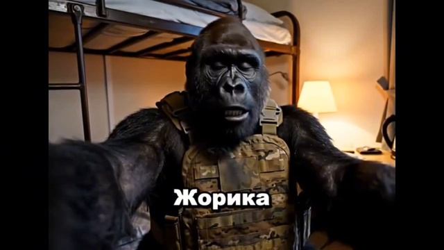 Горилла блогер, часть 2.