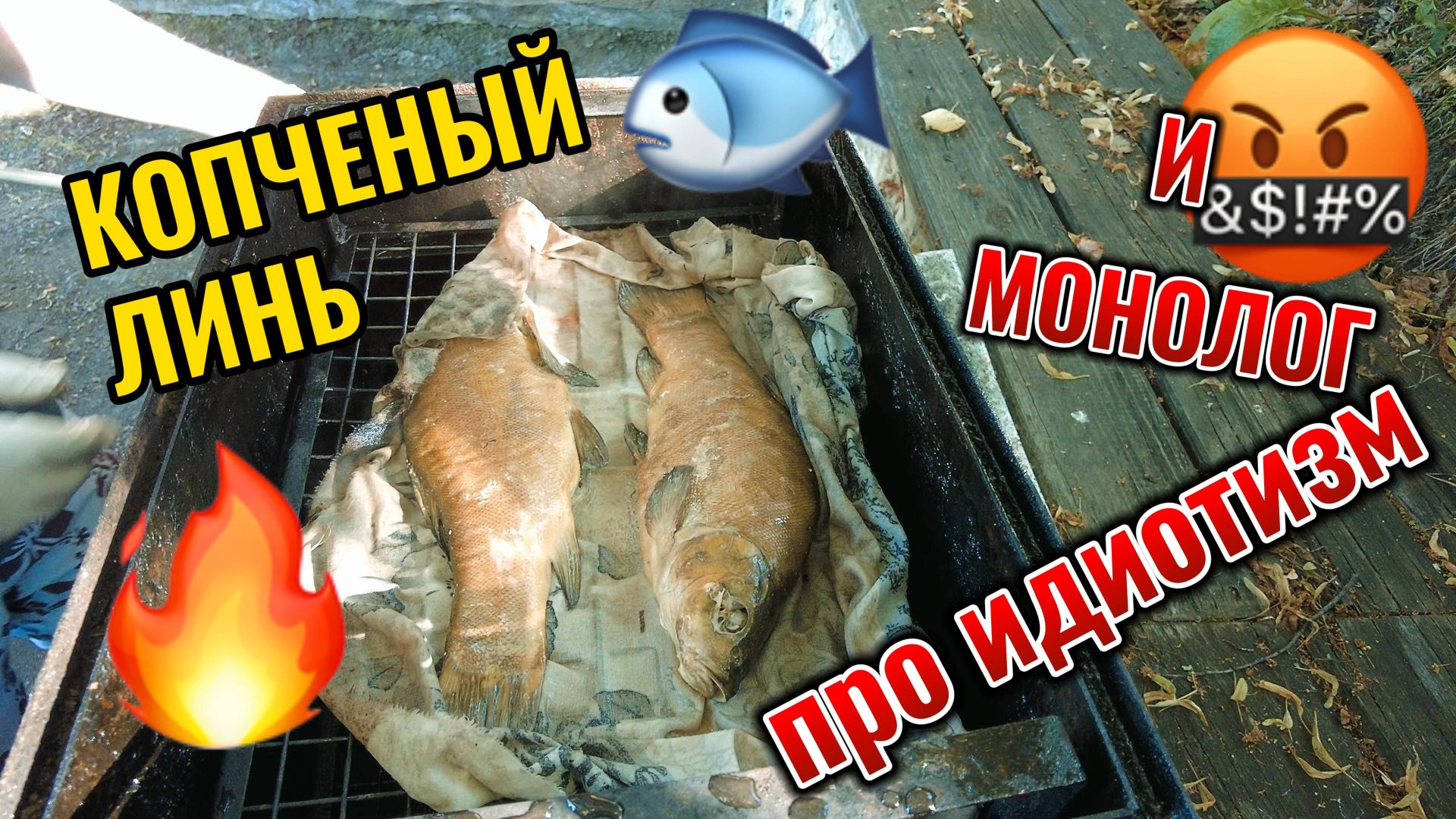 Монолог про идиотизм, пока коптил рыбу 12 июля 2025 г