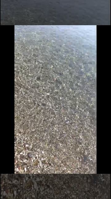 Orange County Kemer 5* Турция