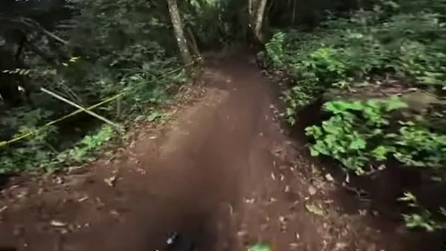 Катание по лесу на велосипеде