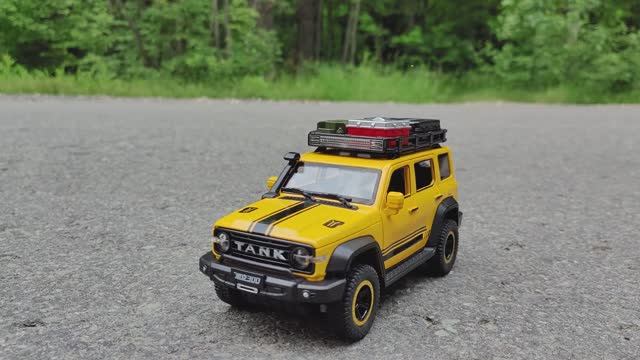 Модель Tank 300 в масштабе 1:24