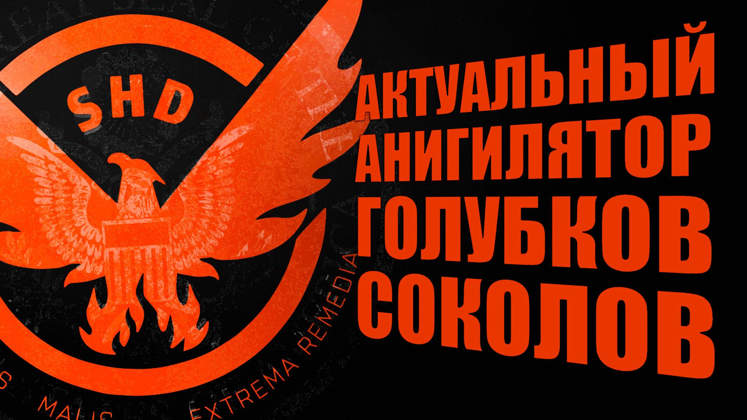 Актуальная  сборка аннигилятор Голубков через Соколов The Division 2