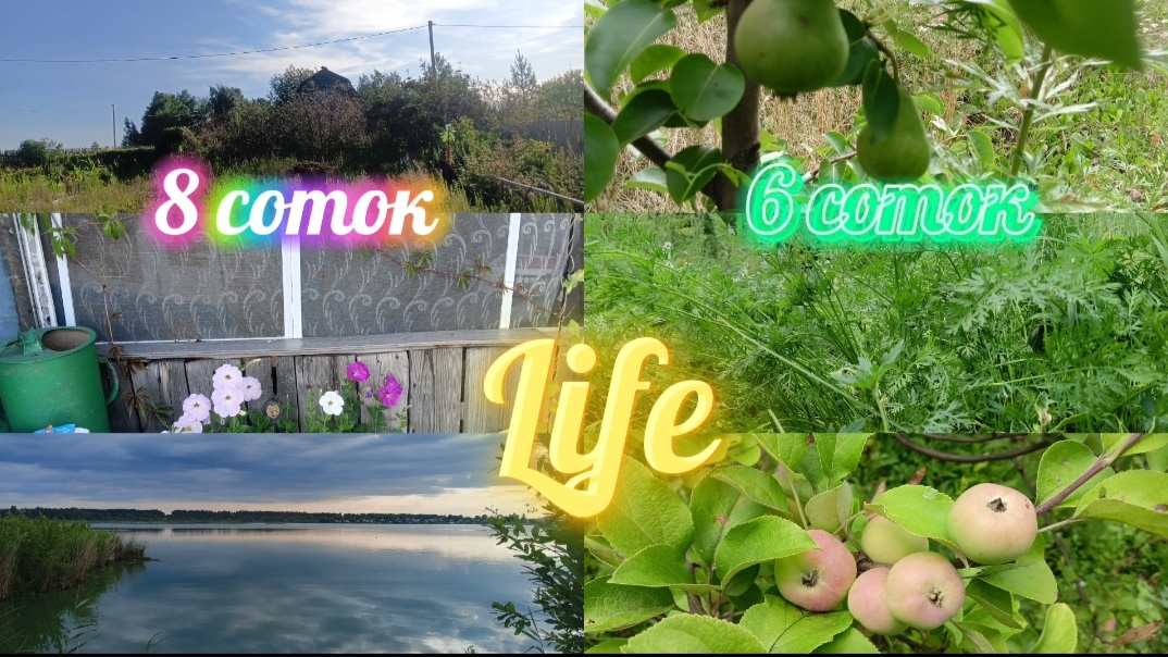 ДВЕ ЗАБРОШЕННЫЕ #ДАЧИ//ВСЁ ПОМЕНЯЛОСЬ//МЕНЯЕМ НАЗВАНИЕ КАНАЛА//#БРОСАЕМ ДАЧУ