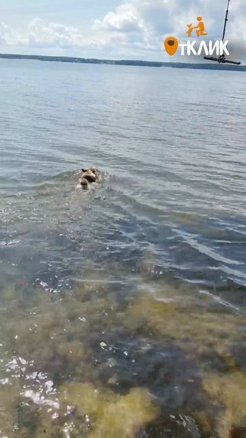 Не пропустите лето