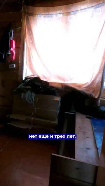 Не хватает детских пособий даже на мебель