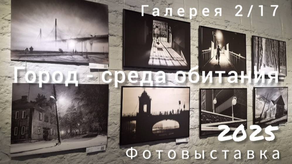 Открытие фотовыставки "Город - среда обитания 2025" в галерее 2/17. Санкт - Петербург, 15.07.2025 г.