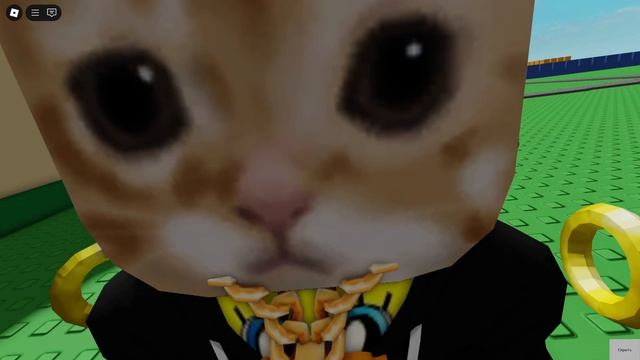 Куриный битбокс