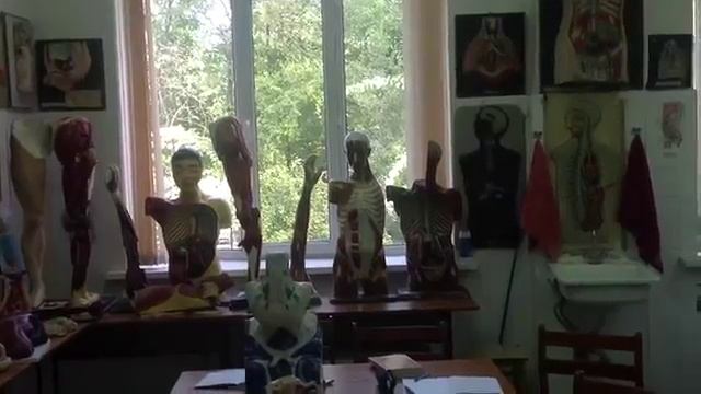 008 Строение глаза