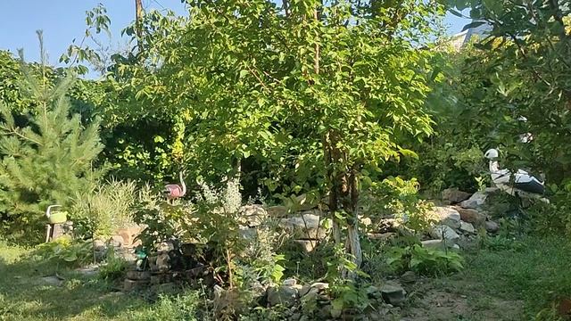 Дача.23.07.2025г.Сводка за сутки.