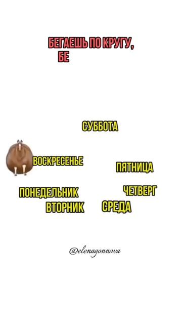 Бег по кругу или жизнь по своему сценарию