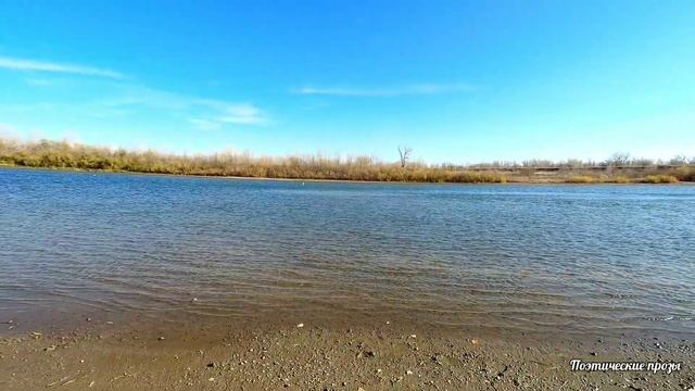 Река Урал осенью. Прогулка по берегу.