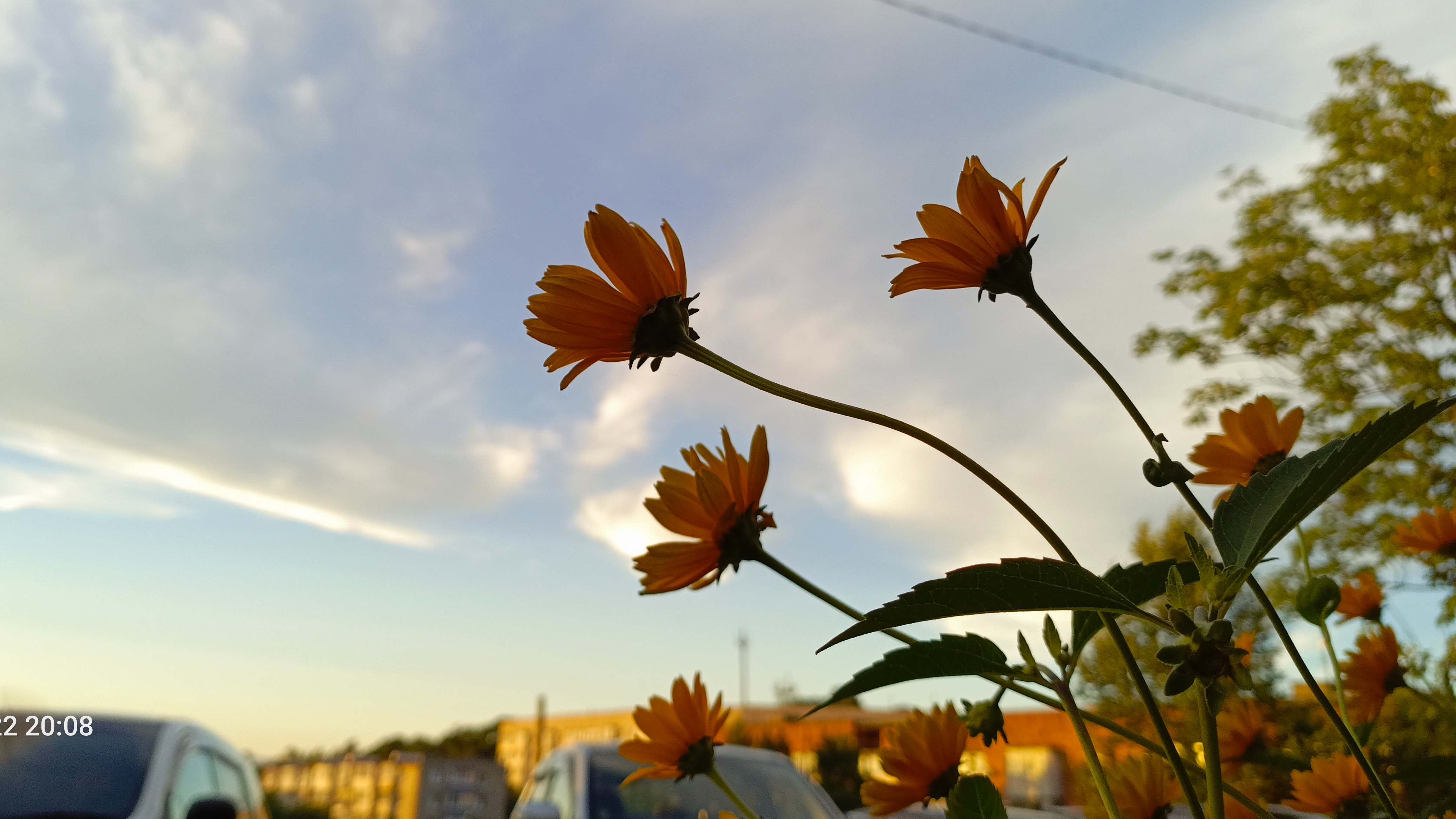 Ой да не вечер...