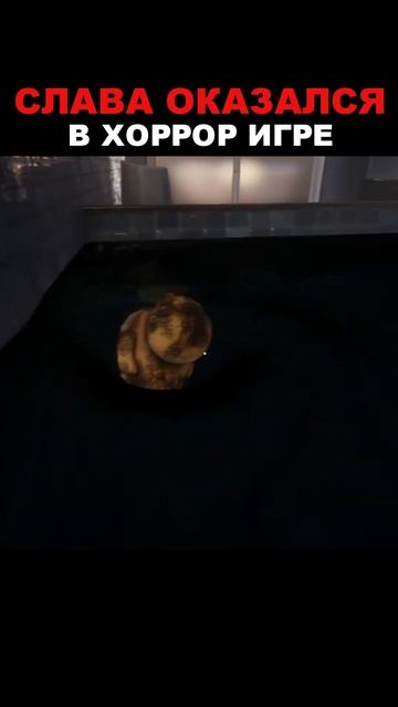 СЛАВА ОКАЗАЛСЯ В ХОРРОР ИГРЕ