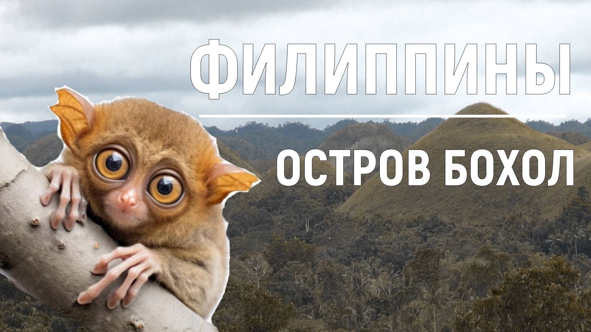 ЗАЧЕМ ЕХАТЬ НА БОХОЛ.ФИЛИППИНЫ.