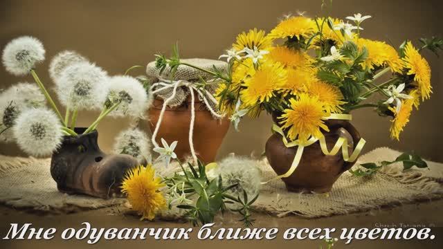 ОДУВАНЧИК. Цветочный гороскоп 3 - 12 декабря