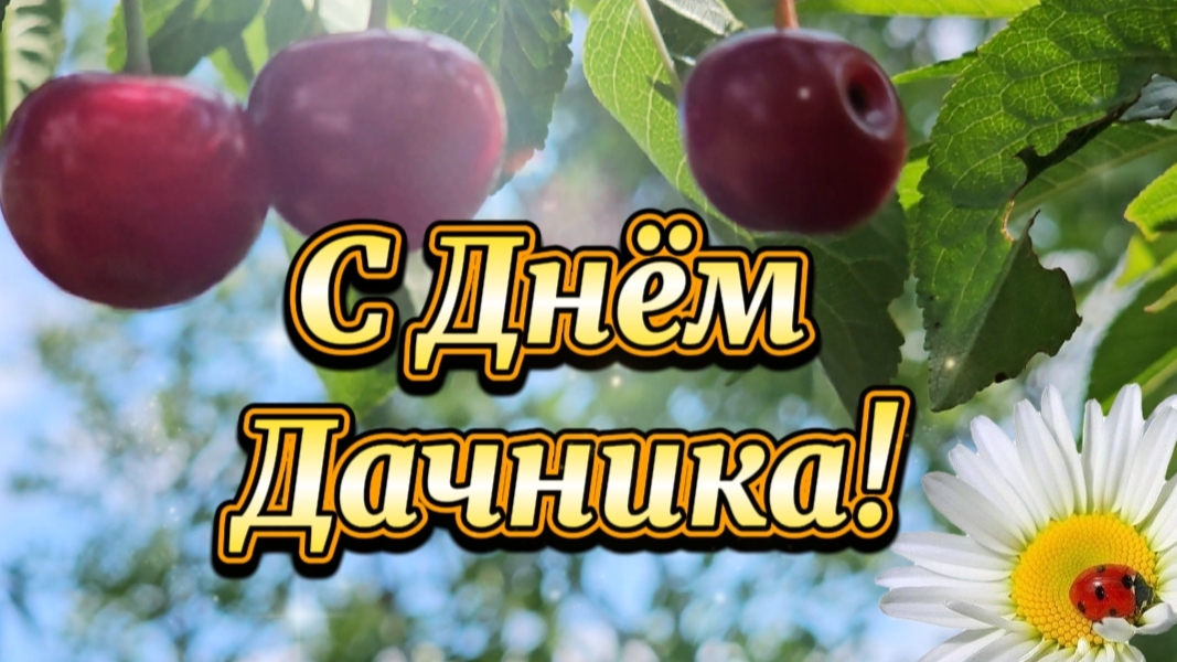 С Днём ДАЧНИКА! 🏡 Красивое поздравление для всех, кто любит дачу 🌹