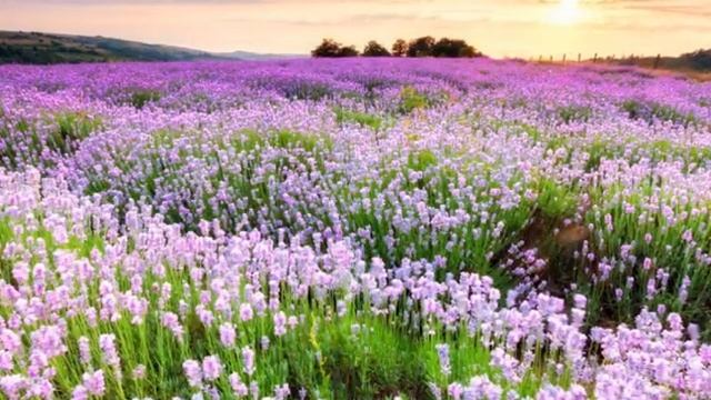 Трактористка Валентина Рублева Автор видео НРудакова