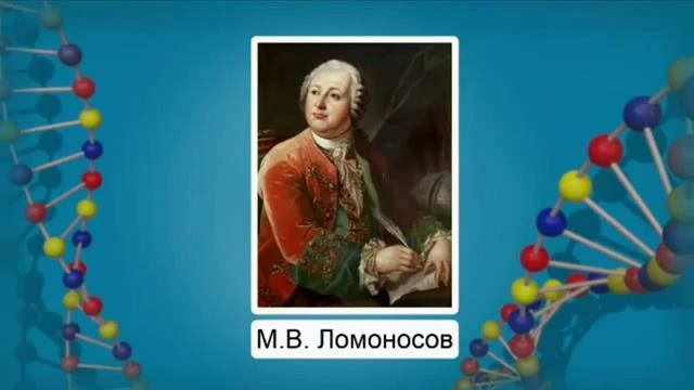 Зрительный анализатор  УРОК 8 КЛАССА  средней школы