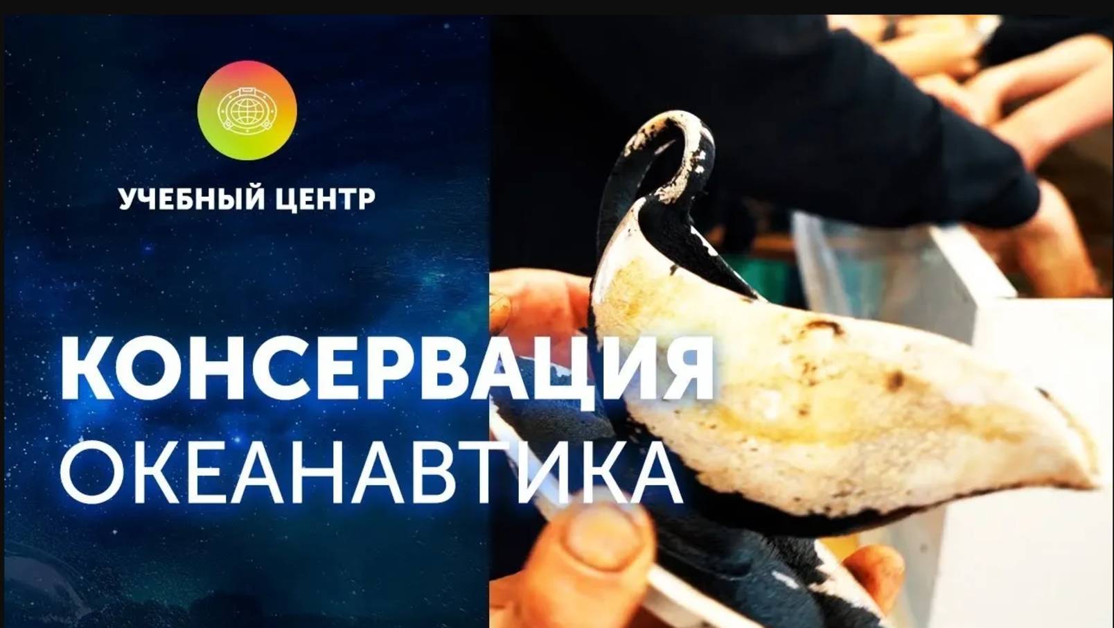 Консервация. Океанавтика