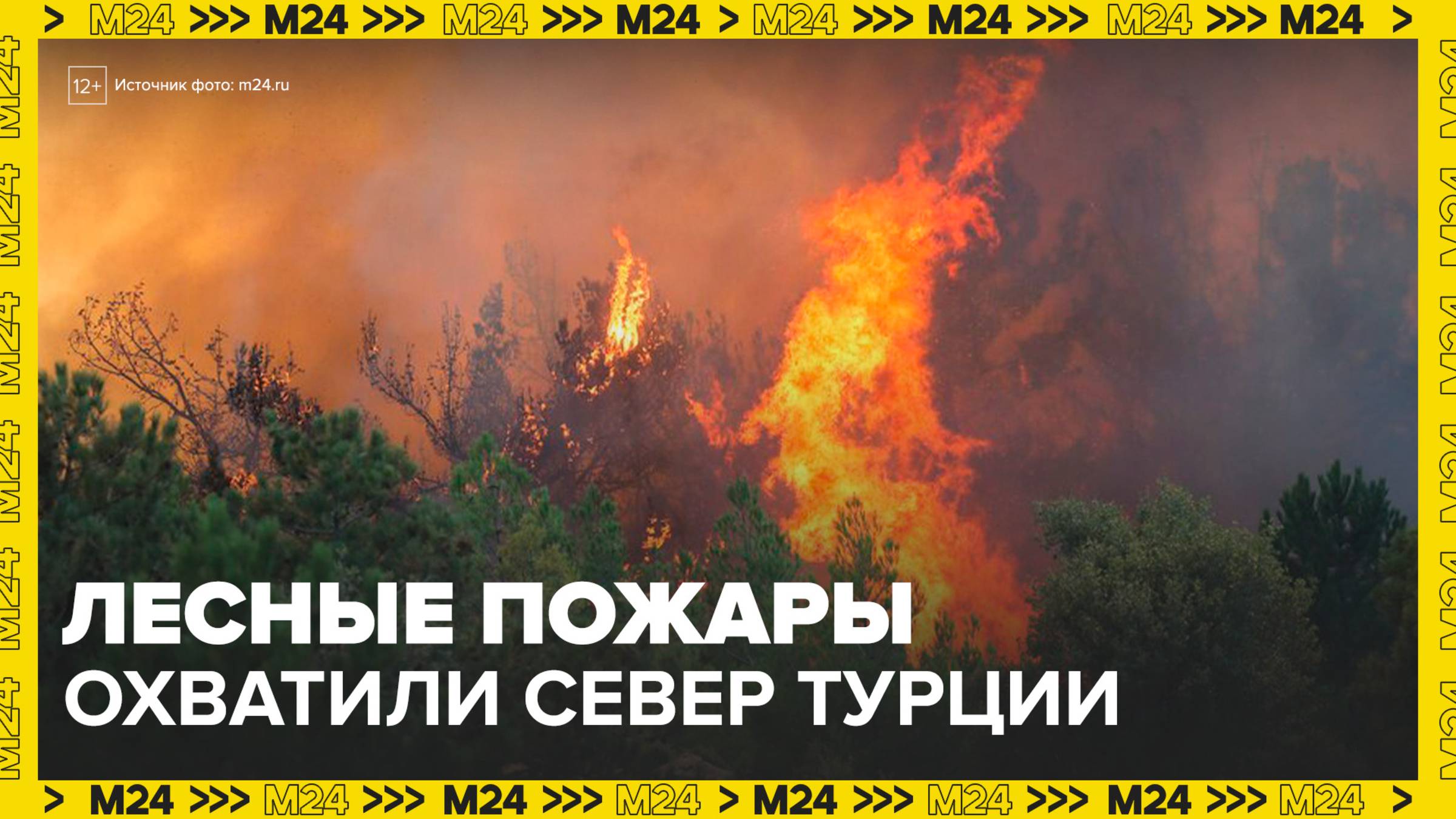 Новости мира: масштабные лесные пожары охватили север Турции - Москва 24
