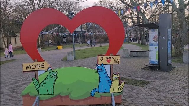 Зеленоградск - город кошек