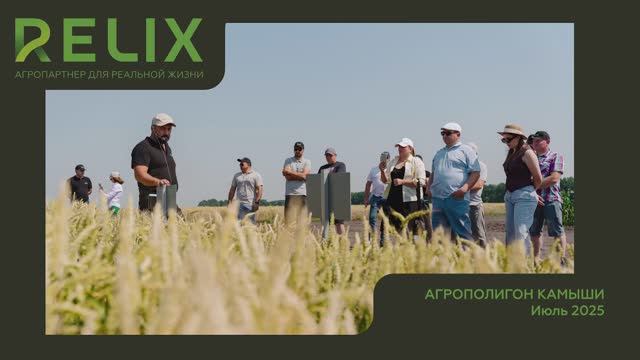 Агрополигон Камыши Курская обл. Июль 2025