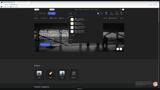 Concepteur de sites web C | SEO Local